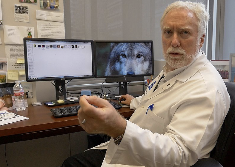 WayMarks’ Projects – WayMark Productions